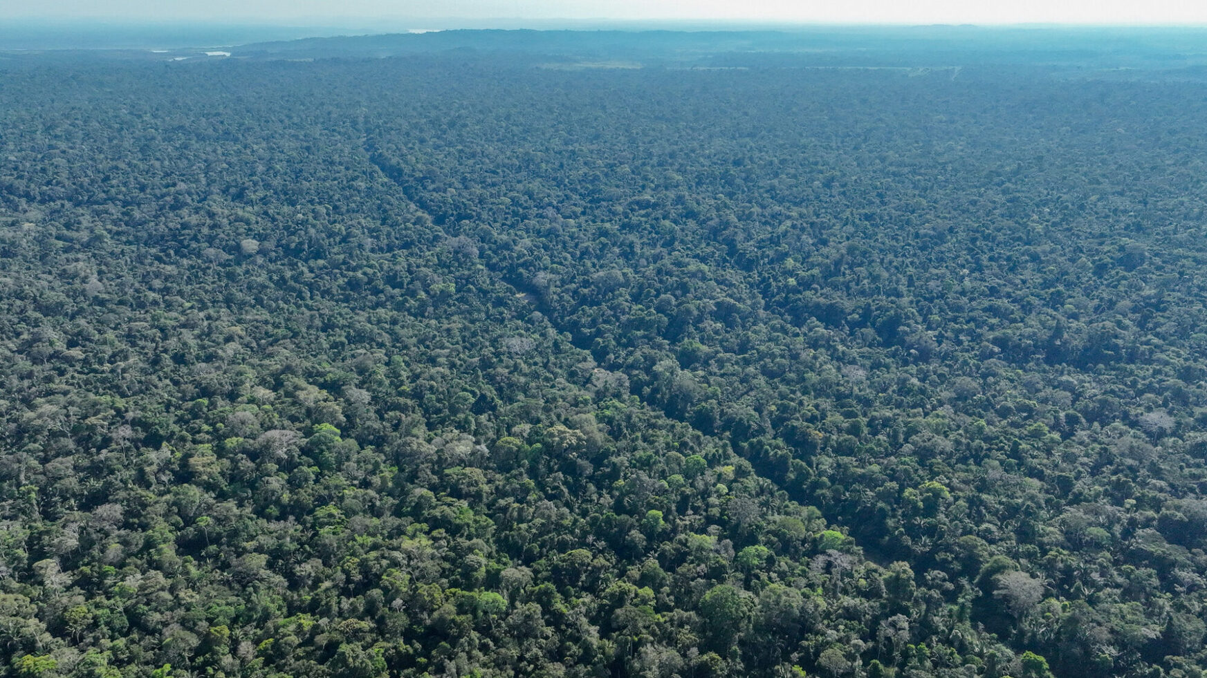 Protecting the Amazon Rainforest - Rio Madeira: a successful REDD+ ...